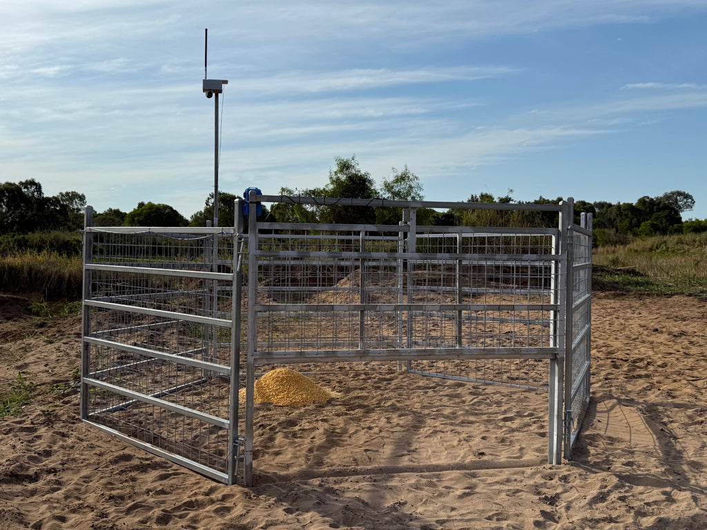 Remote Cellular Pig Trap System with Live Camera & Gate Control | Hunt ...